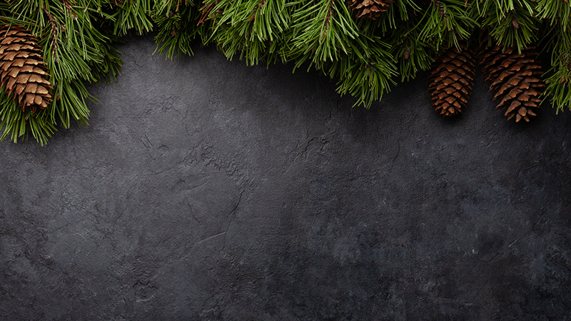 Warm Holiday Wishes From Genova Burns LLC