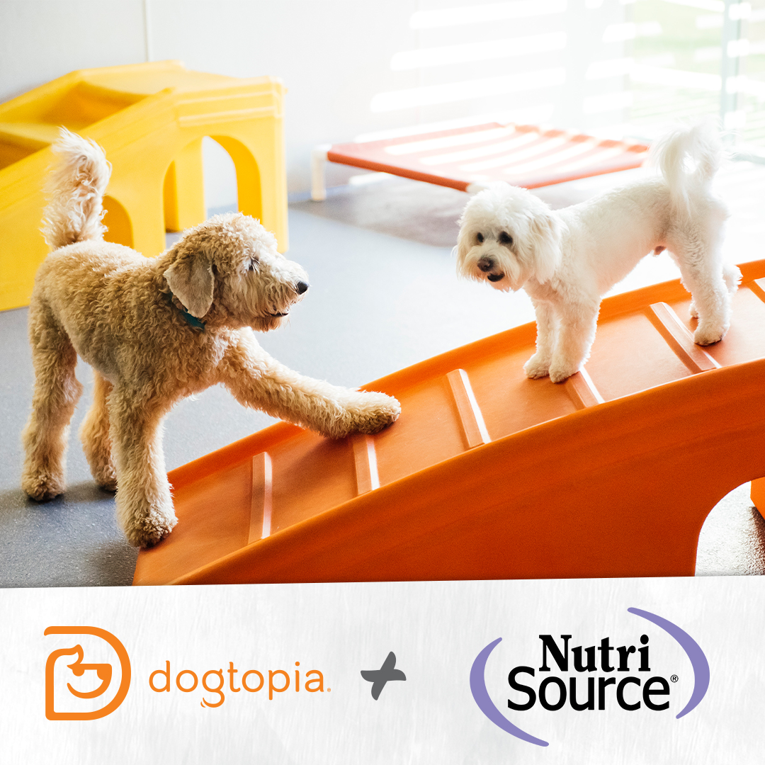 Happy September, Pet Parents!