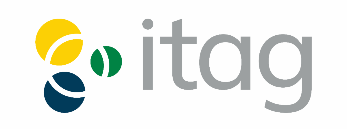 Start Off 2024 with Great Connections - Attend the ITAG Partnership Meeting