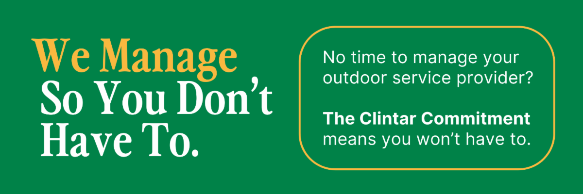 Welcome to the Winter Season with Clintar!